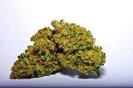 Sour Patch Strain – Exotic Cannabis Shop
